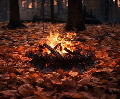 Samhain: Das keltische Fest des Wandels und der Ahnenverehrung | PranaHaus